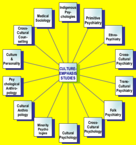 TRANSCEND MEDIA SERVICE » Reflections on the Cultural Construction of ...