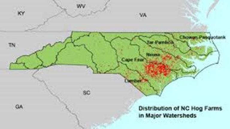 TRANSCEND MEDIA SERVICE » CAFOs in North Carolina and Copper Mines in ...