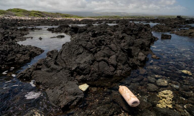 TRANSCEND MEDIA SERVICE » Welcome to Hawaii’s ‘Plastic Beach’, One of ...