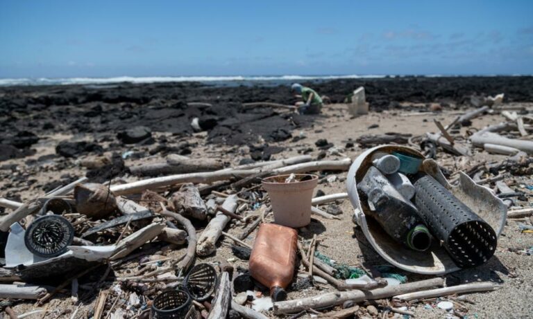 TRANSCEND MEDIA SERVICE » Welcome to Hawaii’s ‘Plastic Beach’, One of ...