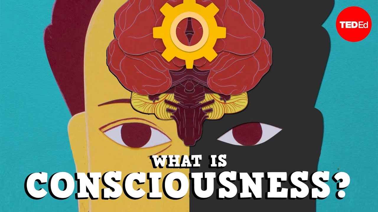 TRANSCEND MEDIA SERVICE » Consciousness: The Symptom of the Soul TRANSCEND MEDIA SERVICE » Consciousness: The Symptom of the Soul
