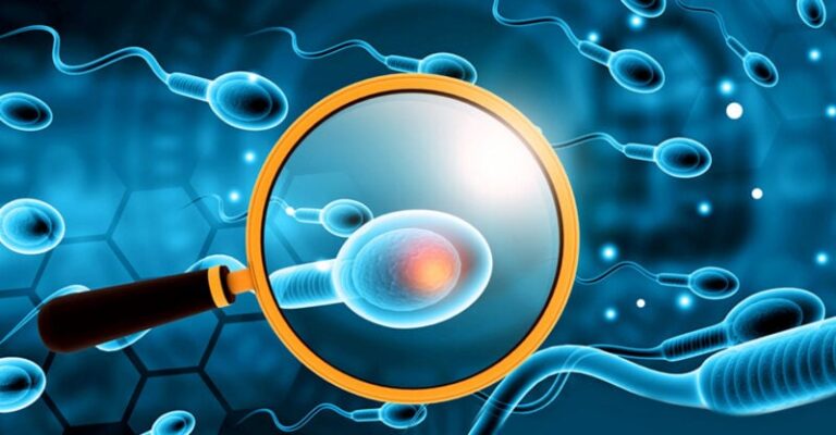 TRANSCEND MEDIA SERVICE » Microplastics Invading the Male Reproductive ...